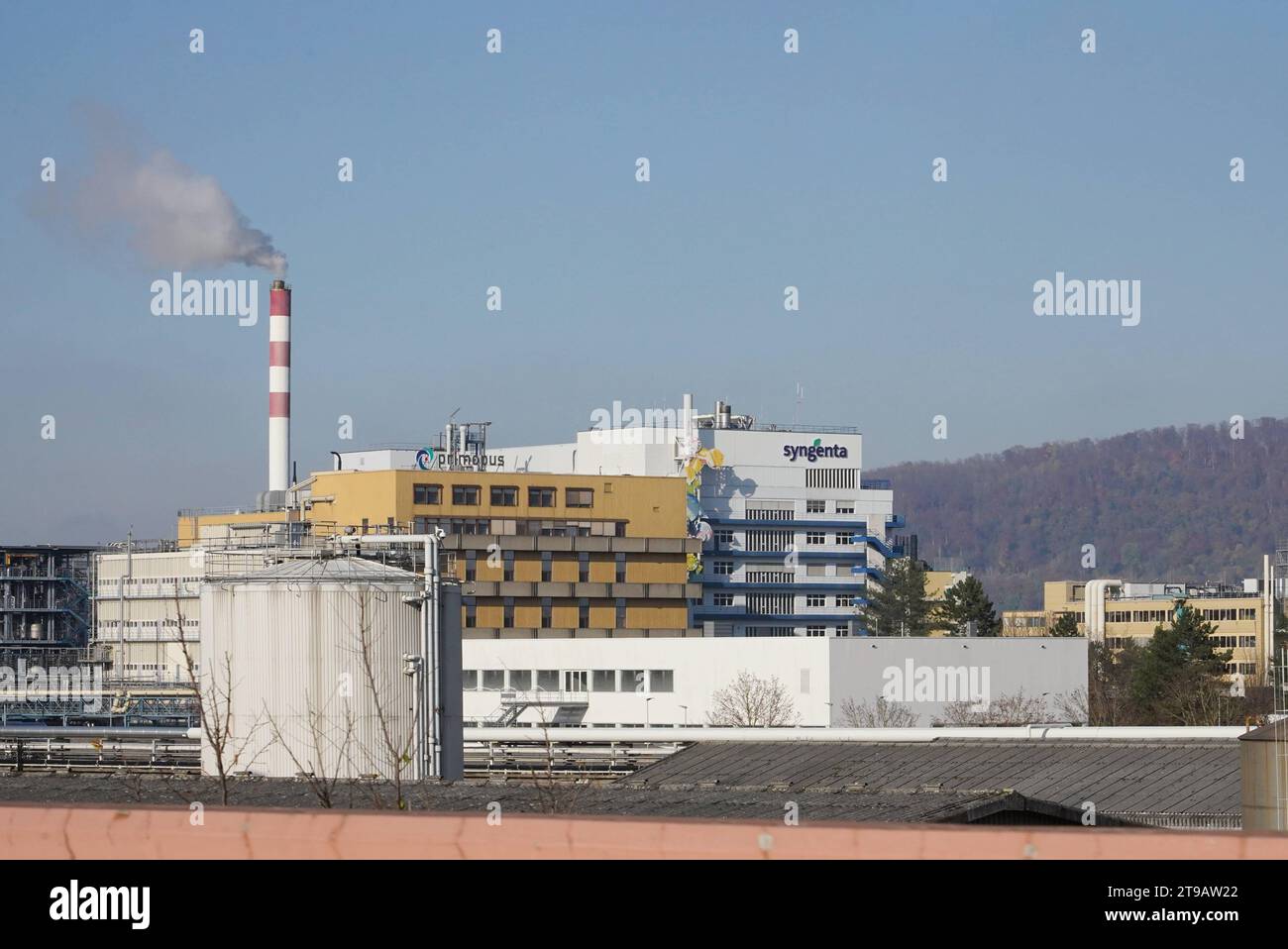 Foto Manuel Geisser 23.11.2023 Basel Schweiz . Bild : Syngenta ...