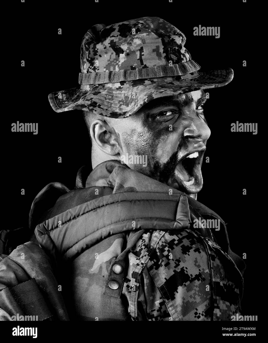 Portraits of Marines Stock Photo - Alamy