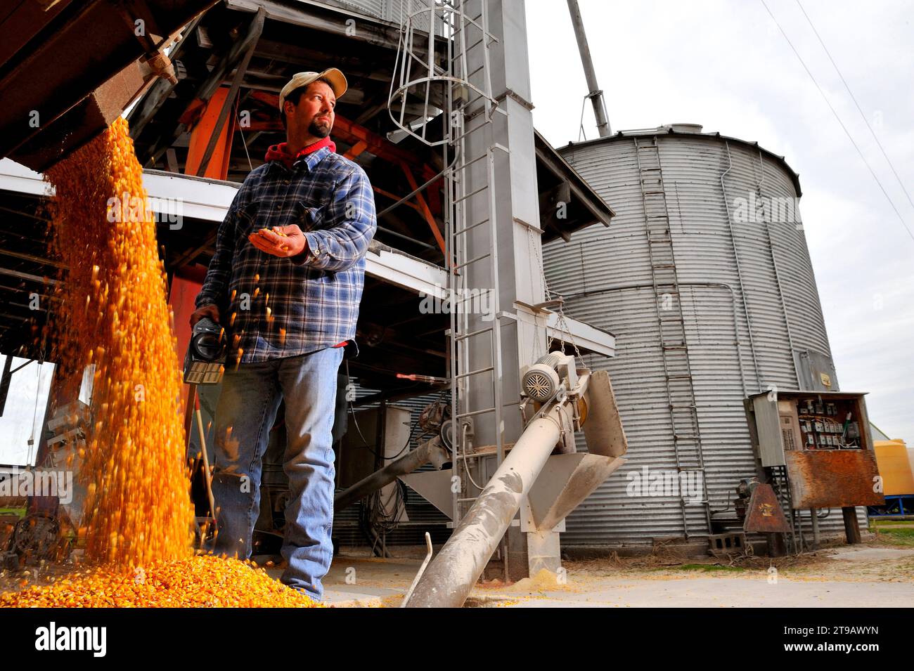 A corn farmer unloads corn into a grain dryer on his farm in Bloomsburg ...