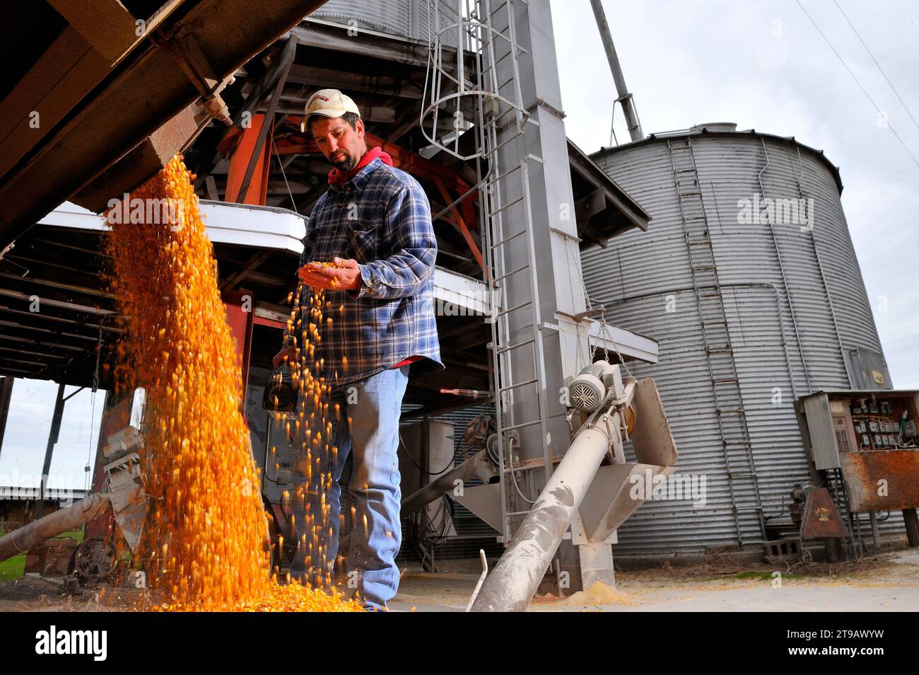 A corn farmer unloads corn into a grain dryer on his farm in Bloomsburg ...