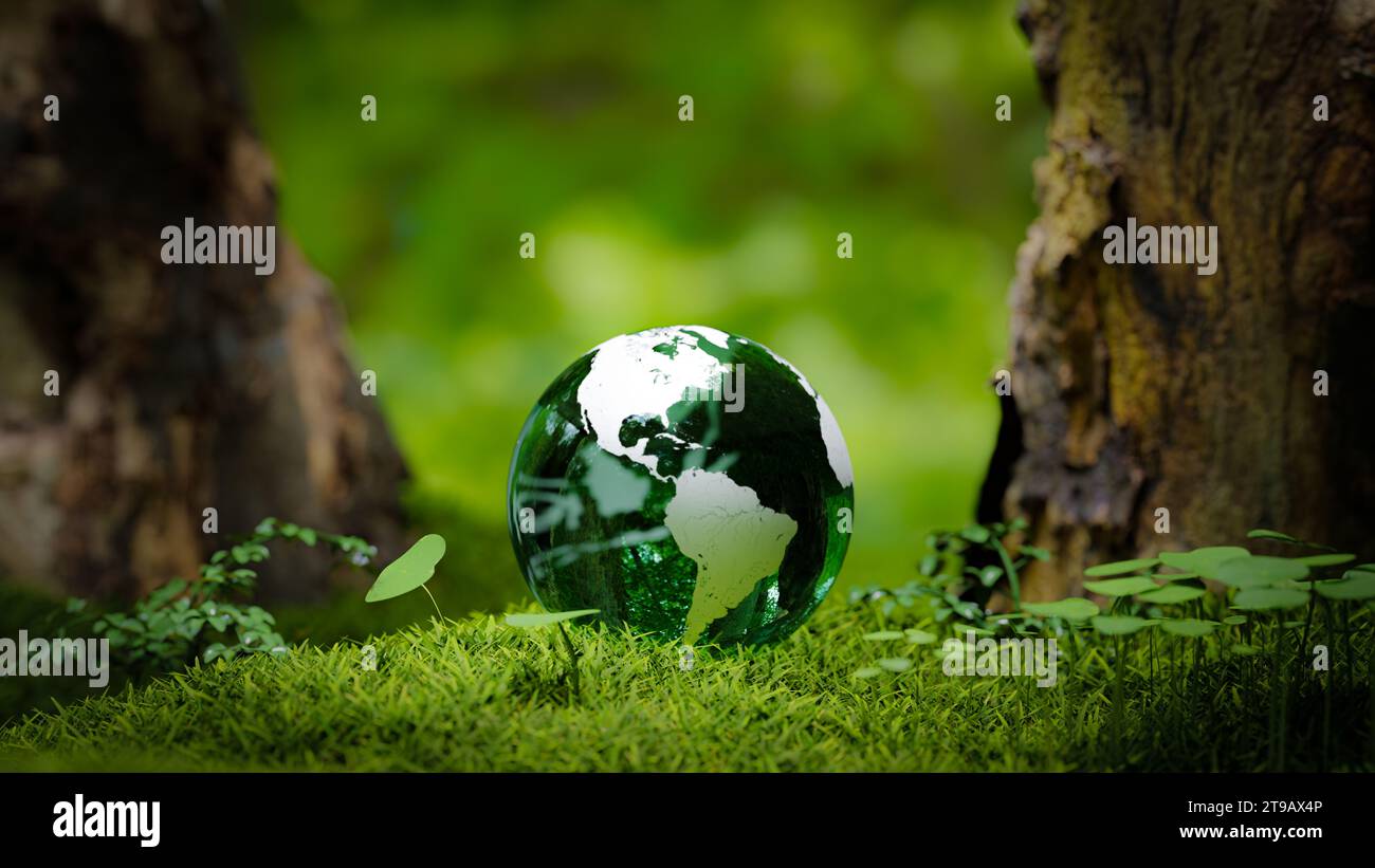 Small Earth in Forest with concept of sustainability and zero carbon ...