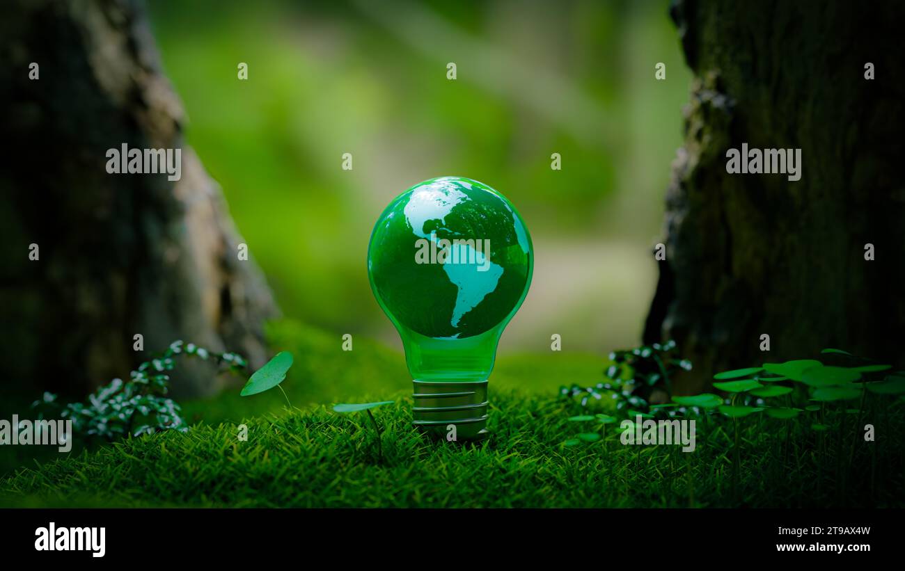 Small Earth in Forest with concept of sustainability and zero carbon ...