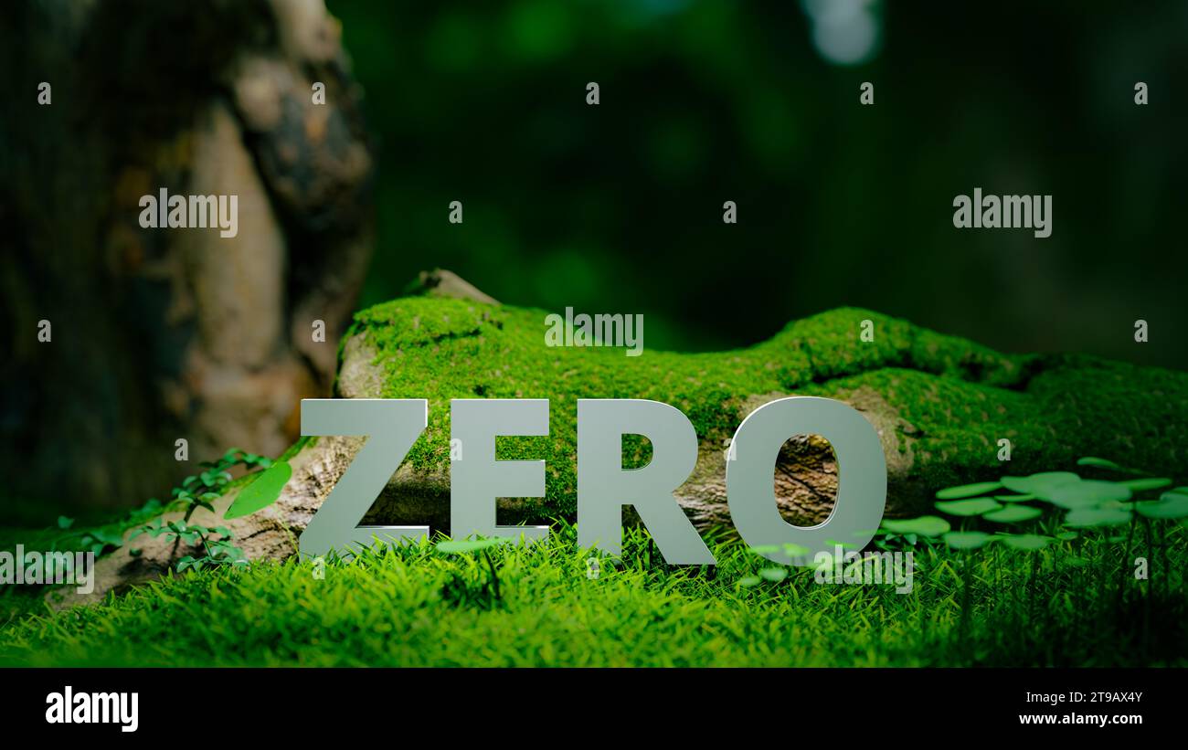 The word "ZERO" in the forest means sustainability and zero carbon,3d ...