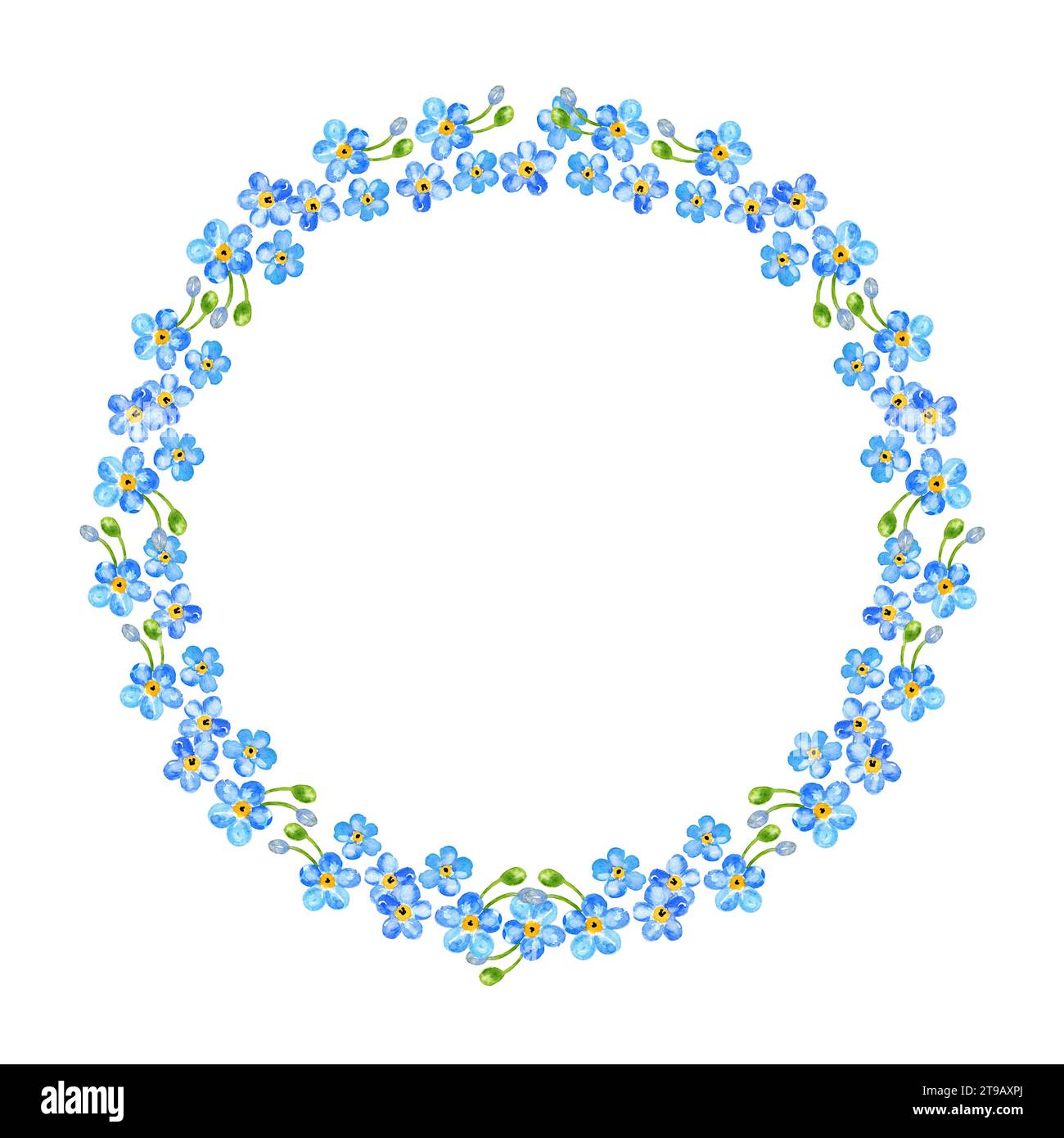 watercolor wreath of blue spring flowers, illustration of forget me not ...