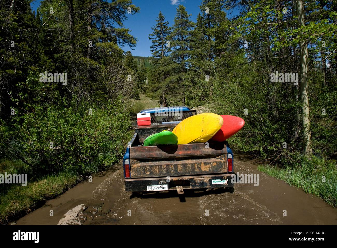 Kayakers in an old truck driving on a 4-wheel drive road with kayaks in ...