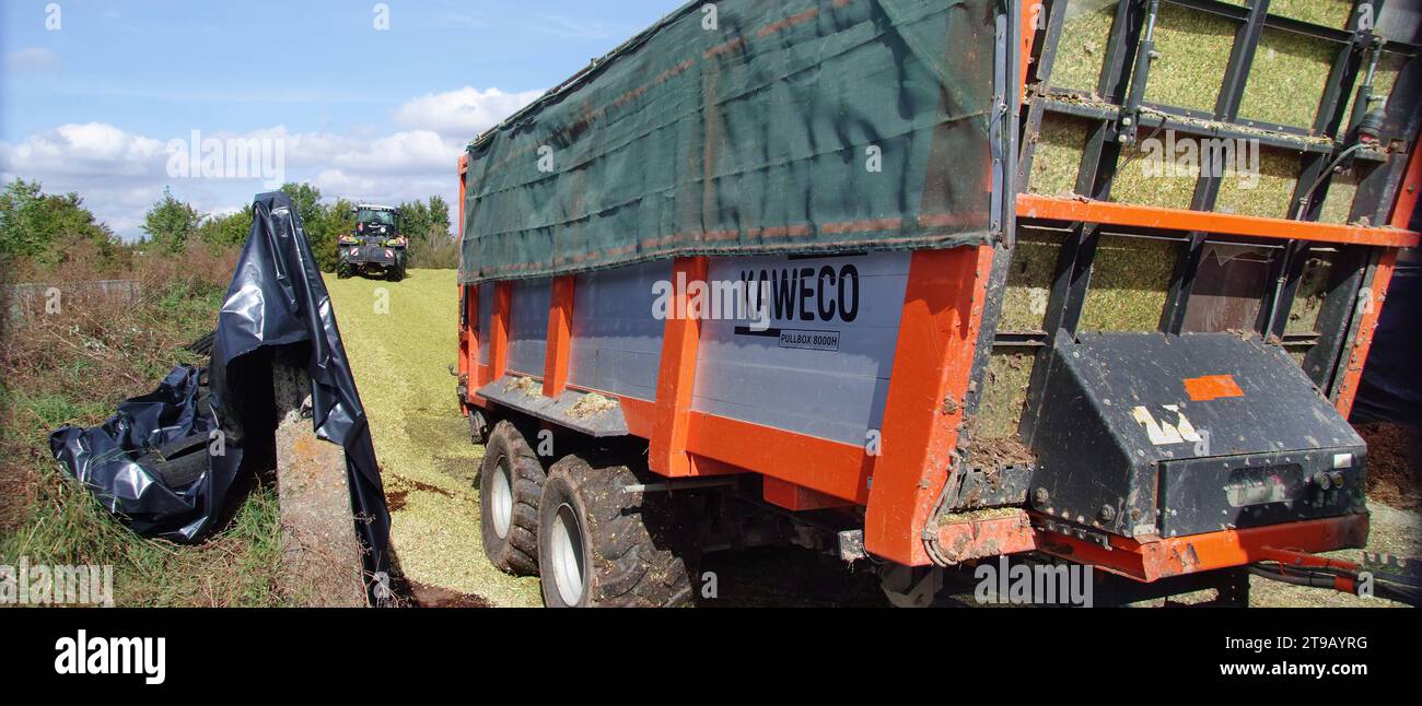 Bauernhof mit biogasanlage hi-res stock photography and images - Alamy