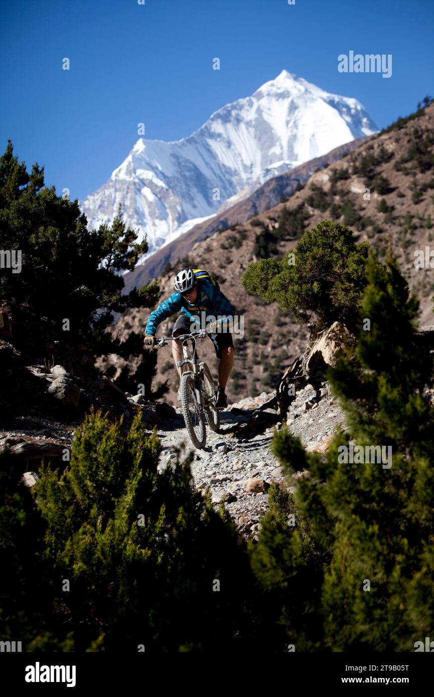 One man riding a mountain bike down trail with shrubbery and mountain ...