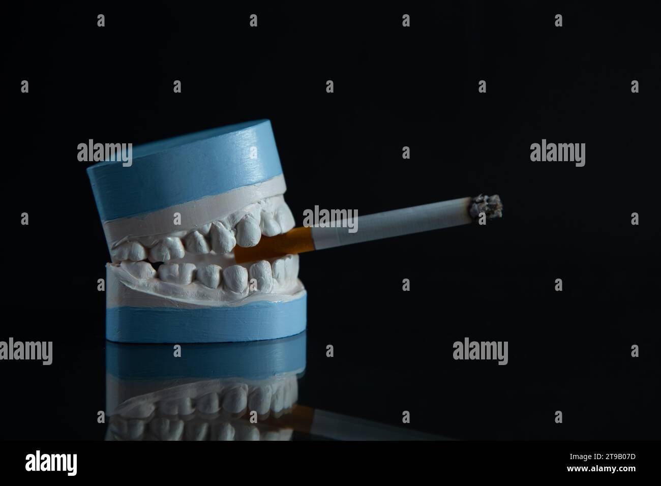 Plaster model of the jaw with a cigarette on a black background ...