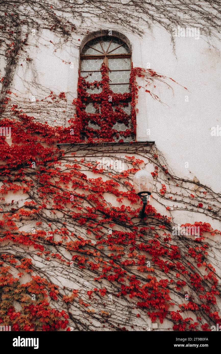 Wrap around window hi-res stock photography and images - Alamy