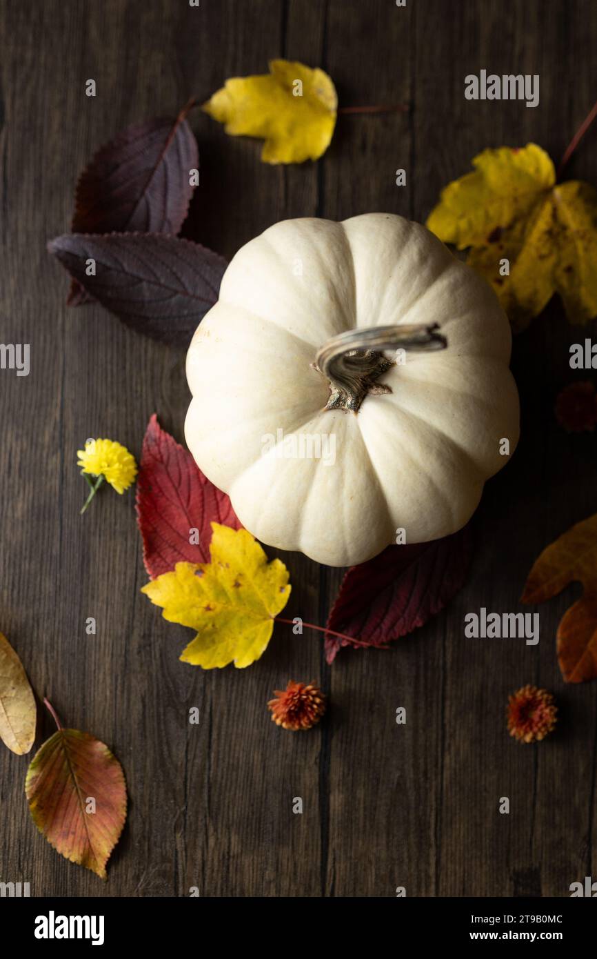 Flat lay of mums hi-res stock photography and images - Alamy