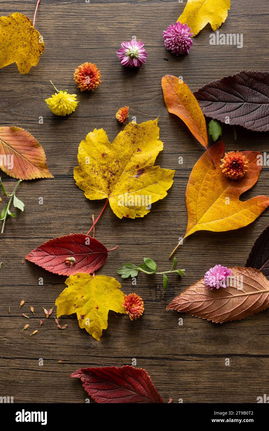 Flat lay of mums hi-res stock photography and images - Alamy