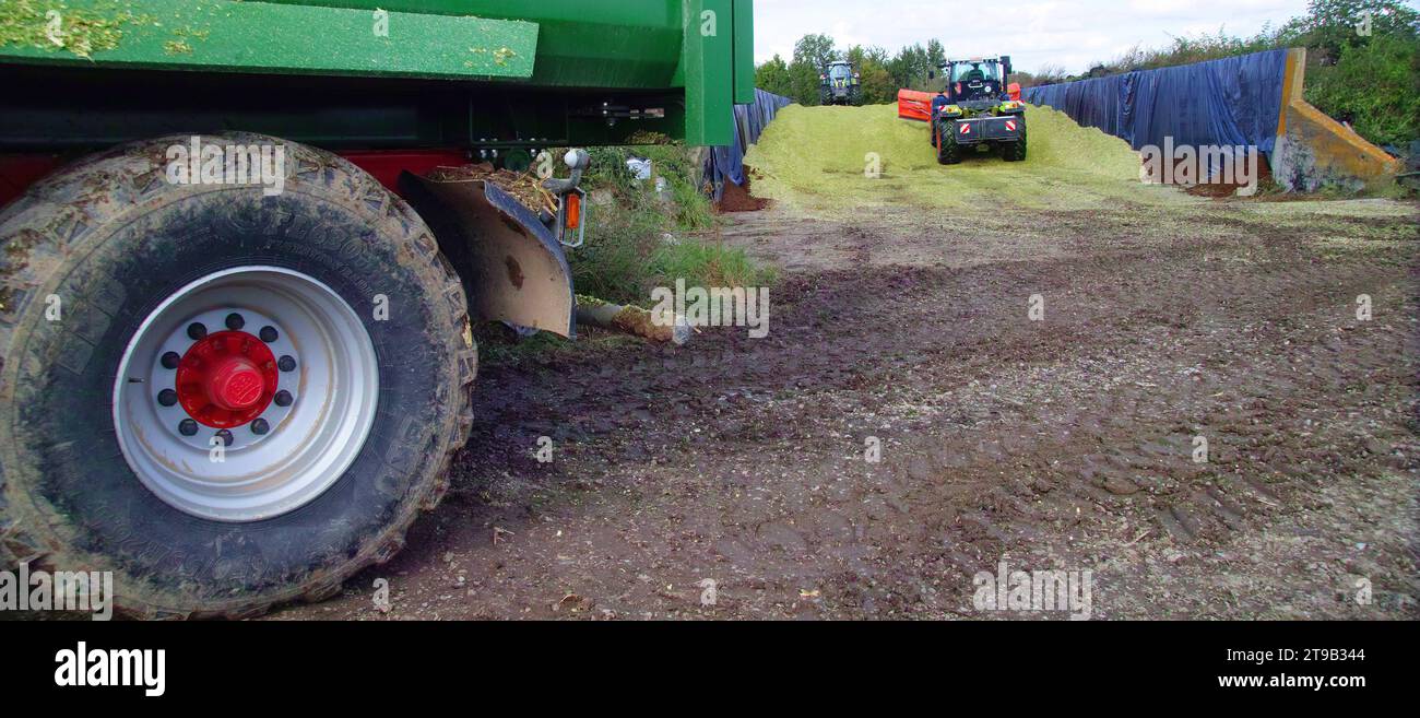 Bauernhof mit biogasanlage hi-res stock photography and images - Alamy
