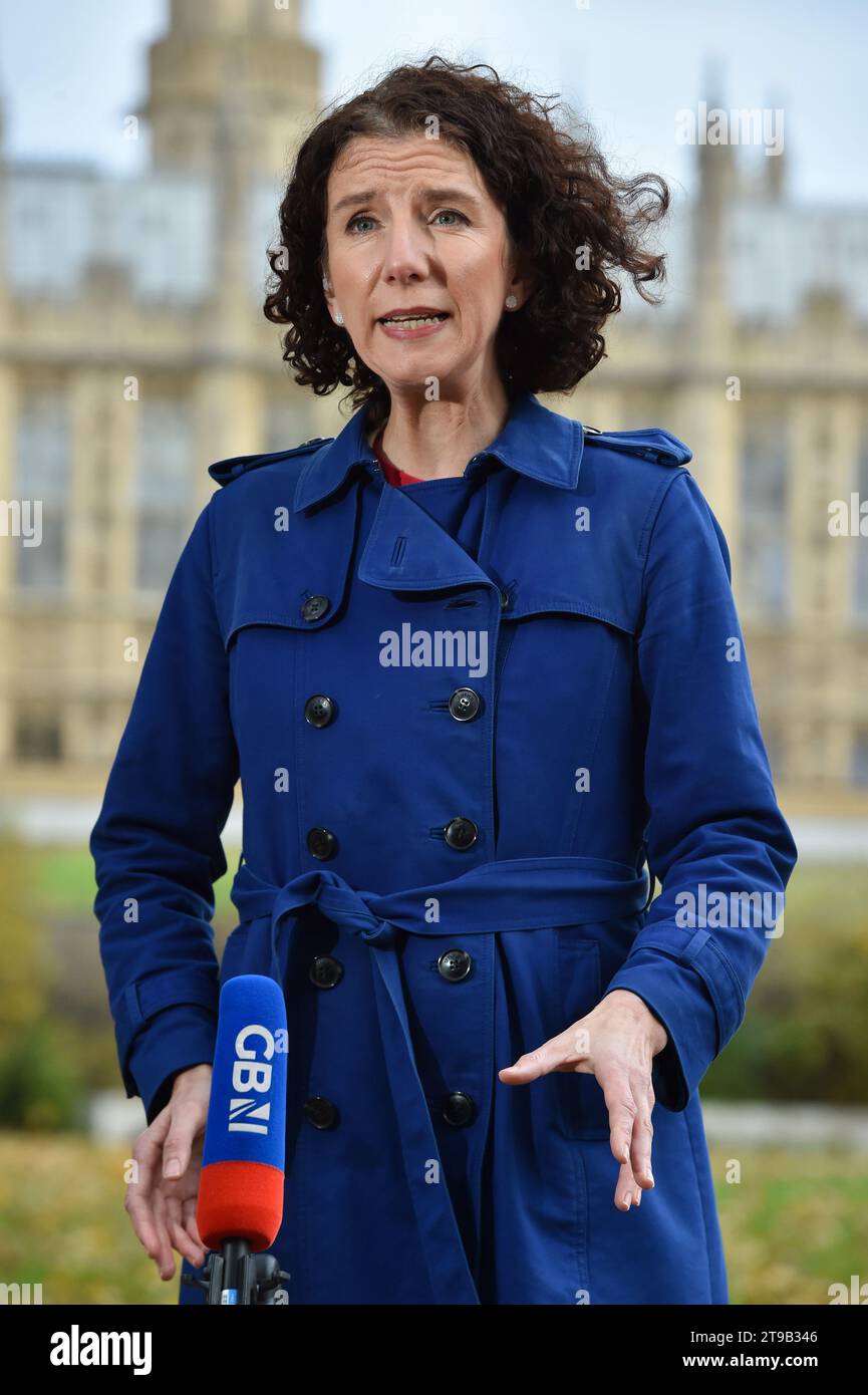 London, England, UK. 24th Nov, 2023. ANNELIESE DODDS, Chair of the ...