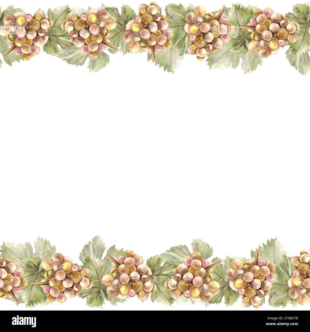 Watercolor seamless border frame. Bunch of green yellow grapes, leaves ...