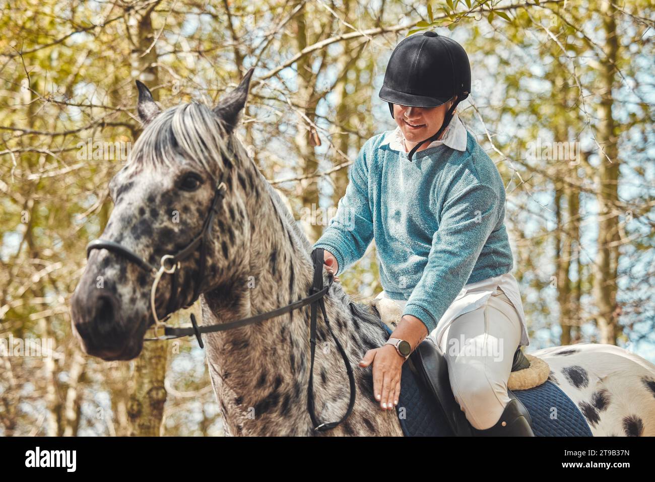 Horse with woman, riding in forest and practice for competition, race ...