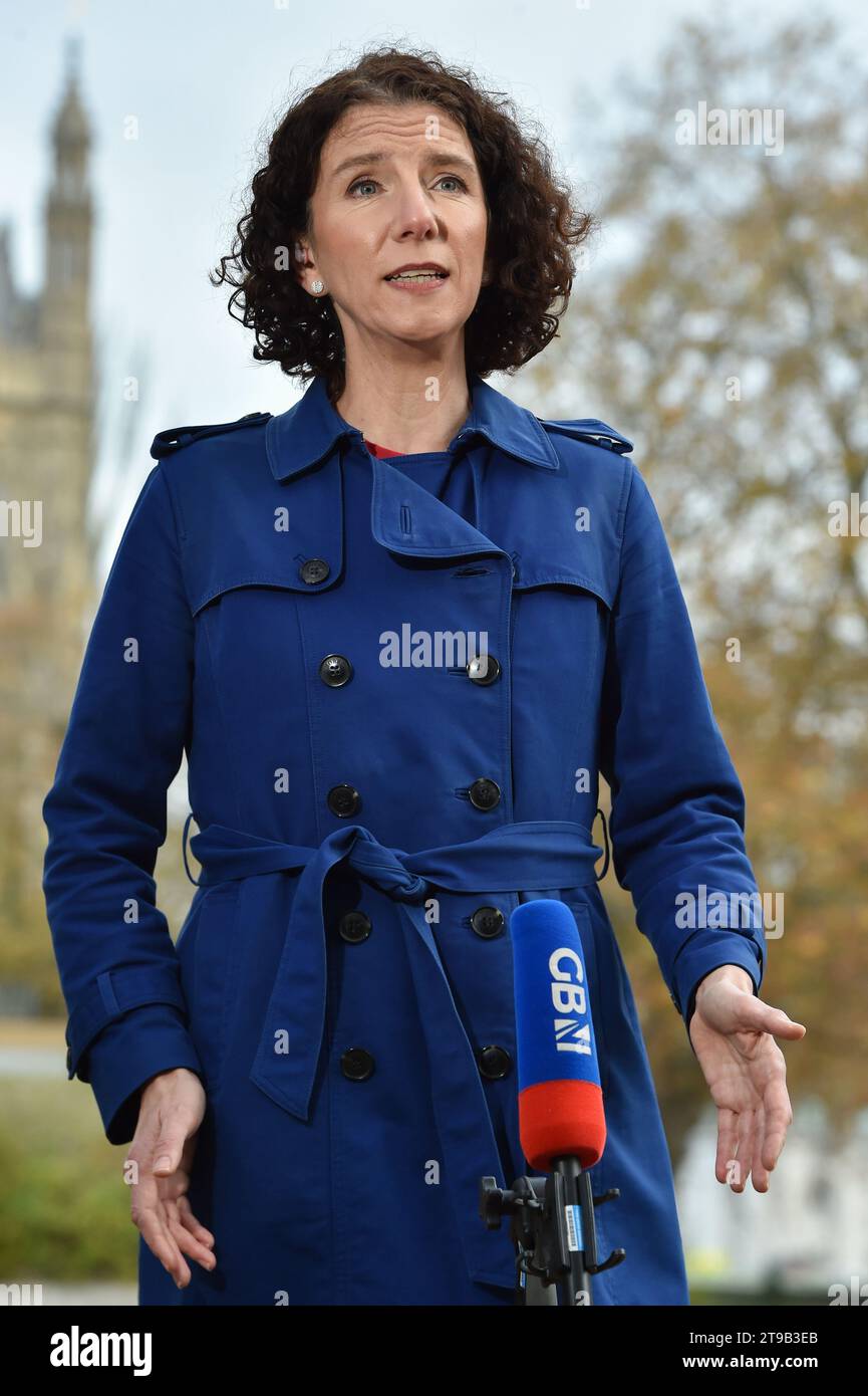 London, England, UK. 24th Nov, 2023. ANNELIESE DODDS, Chair of the ...