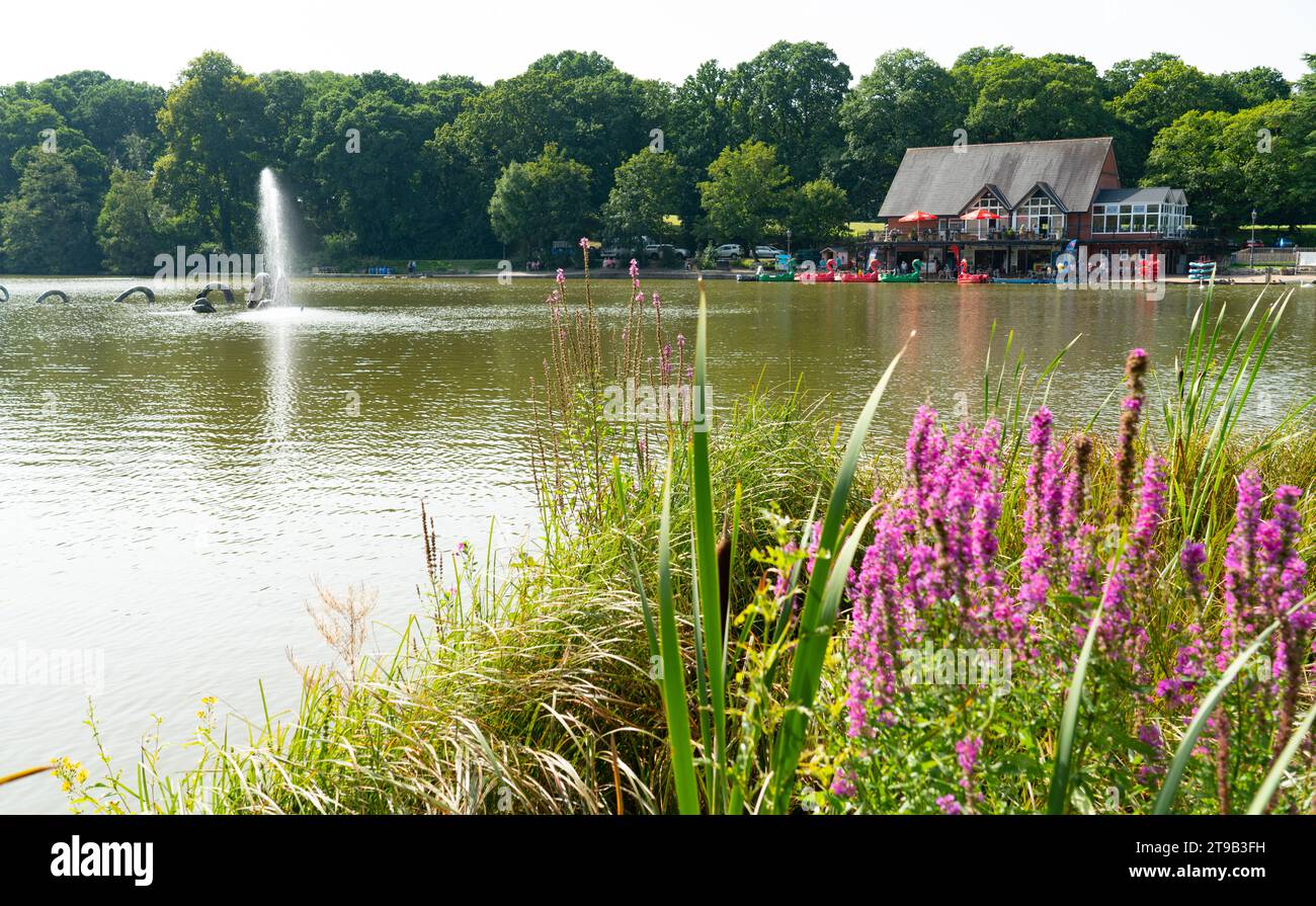 Victorian spa hi-res stock photography and images - Alamy