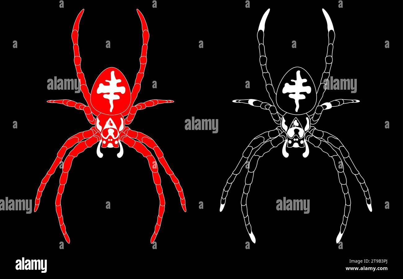 Two spider red and black set vector graphic design Stock Vector Image ...