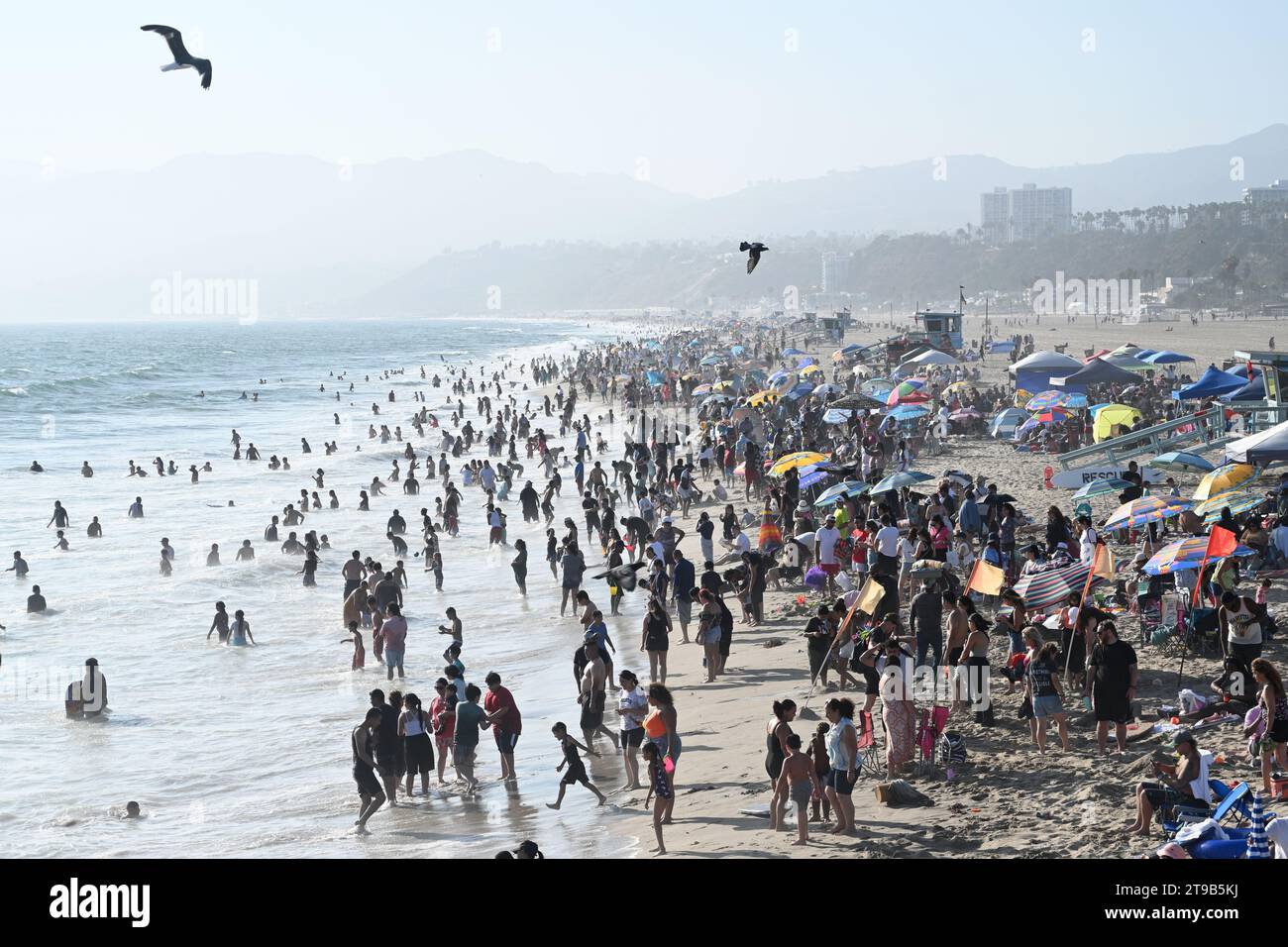 Los Angeles, California, USA - July 29, 2023: Crowd of people rest on ...