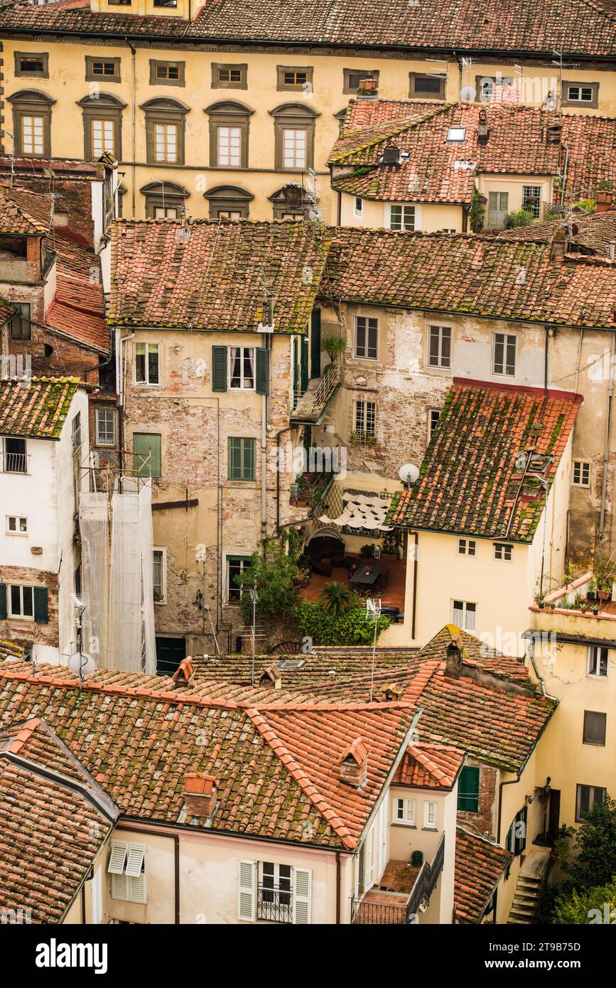Lucca landscape view from Torre Guinigi sightseeing, Tuscany, Italy ...
