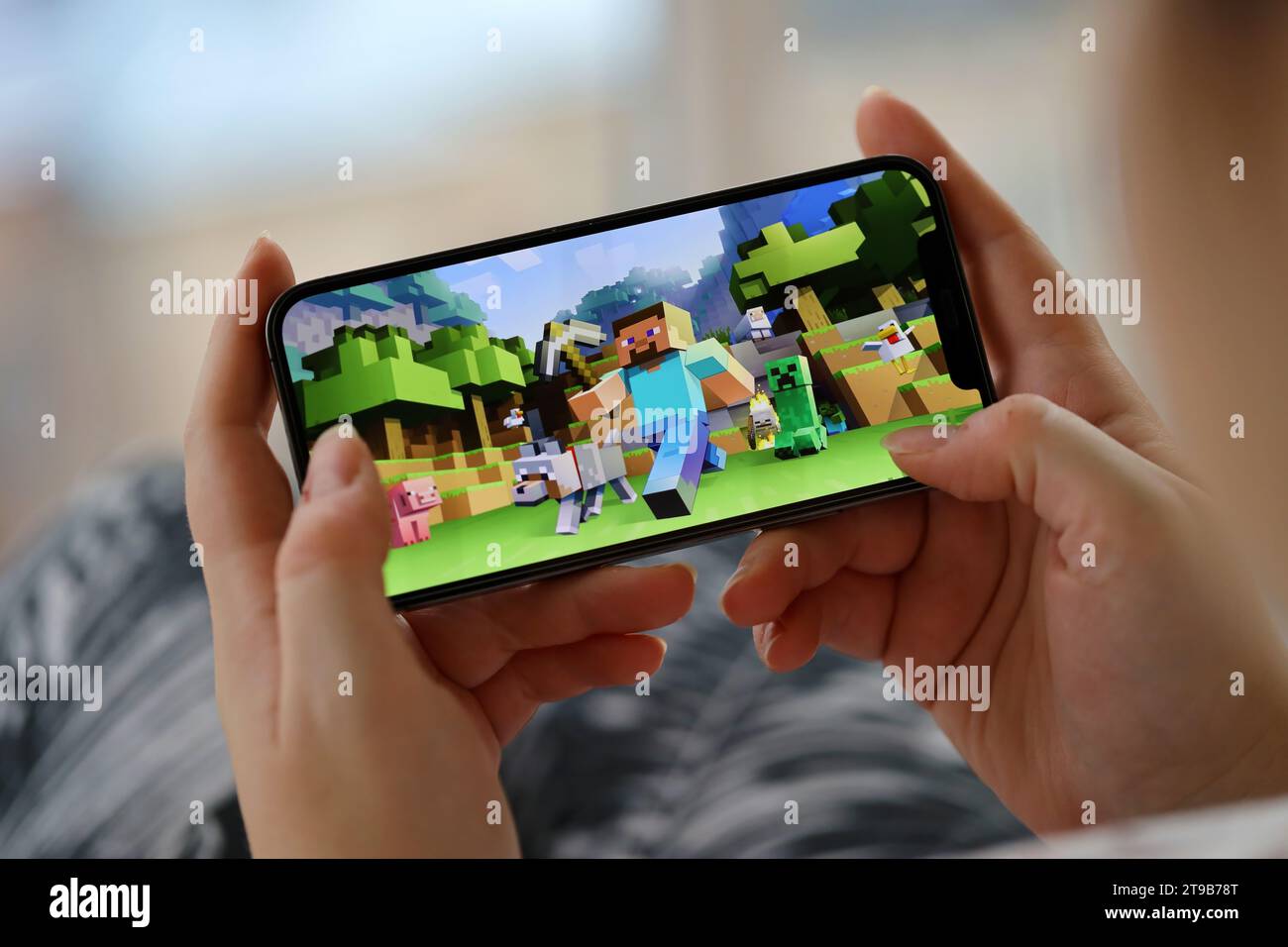 Minecraft social hi-res stock photography and images - Alamy