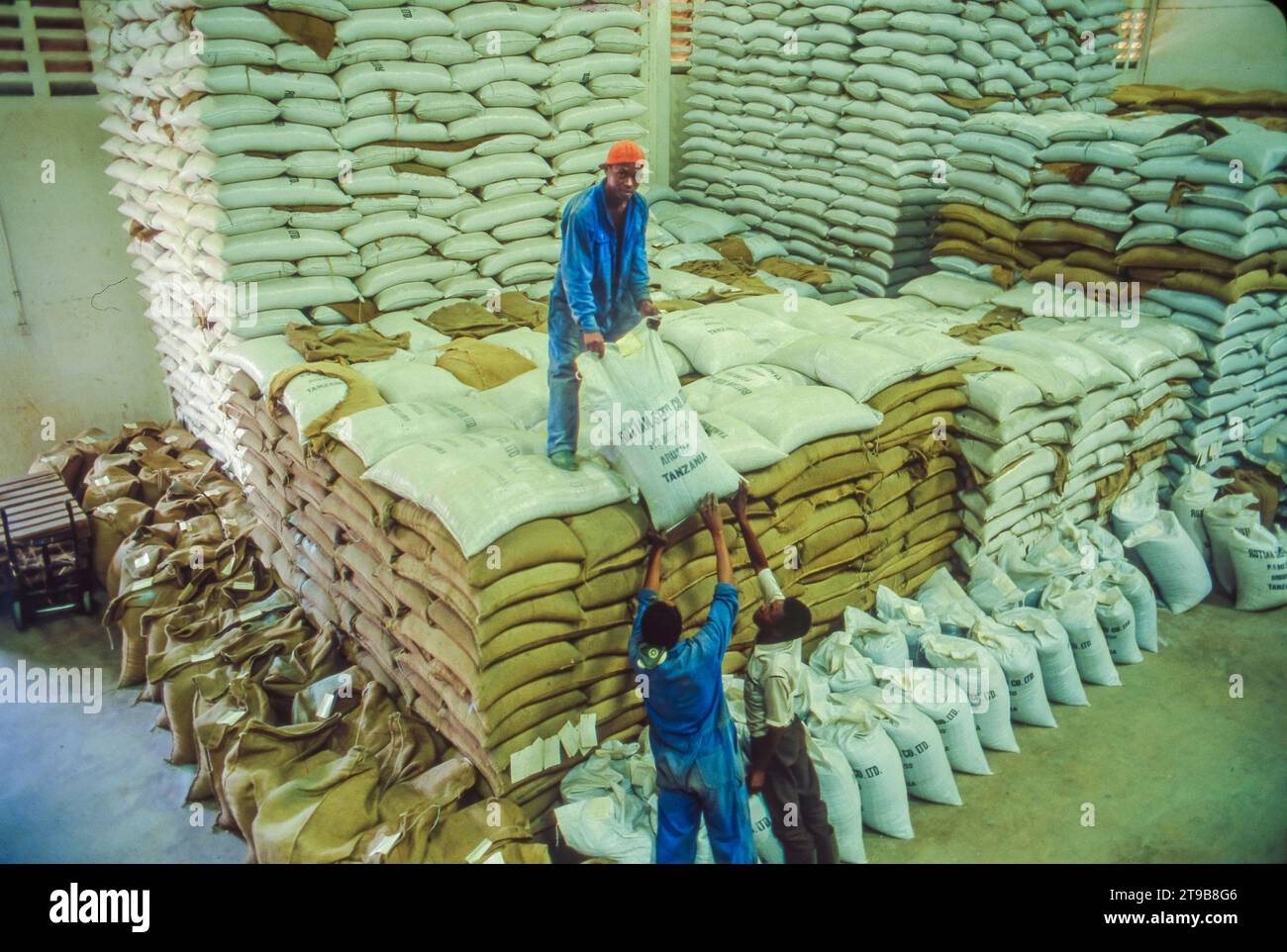 Tanzania, Arusha; Employees of an agricultural breeding station for ...