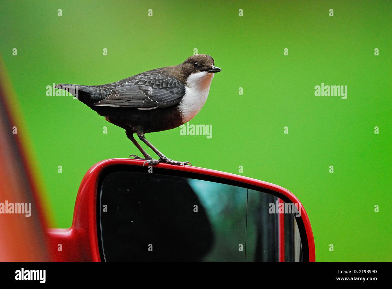 Fast flowing rivers hi-res stock photography and images - Alamy