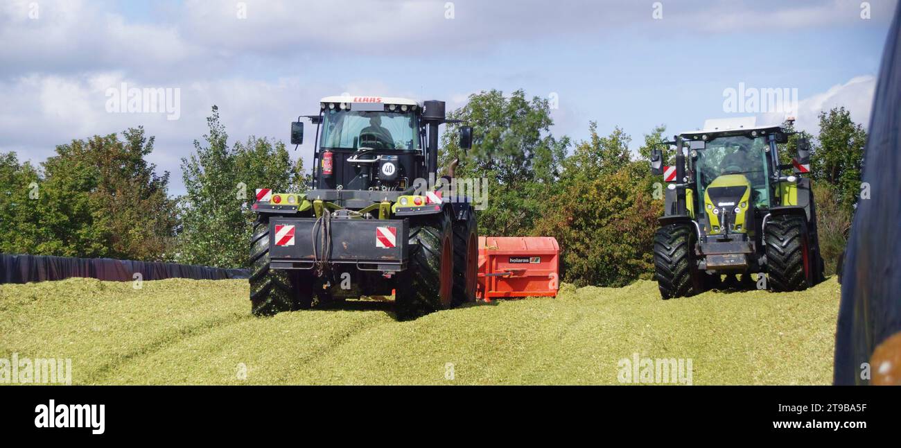 Maismiete hi-res stock photography and images - Alamy