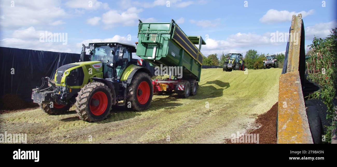 Maismiete hi-res stock photography and images - Alamy