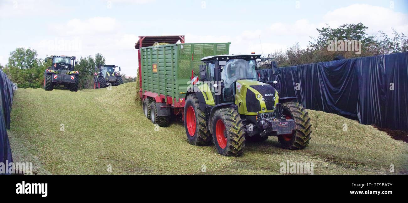 Maismiete hi-res stock photography and images - Alamy