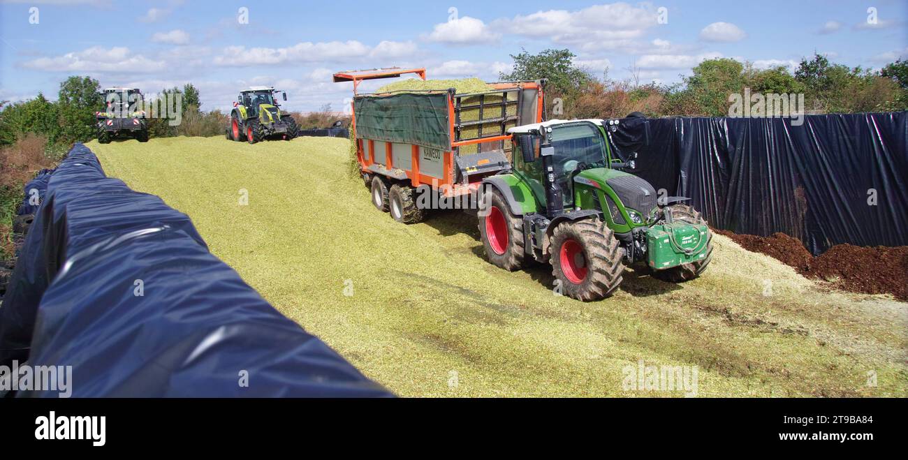 Bauernhof mit biogasanlage hi-res stock photography and images - Alamy