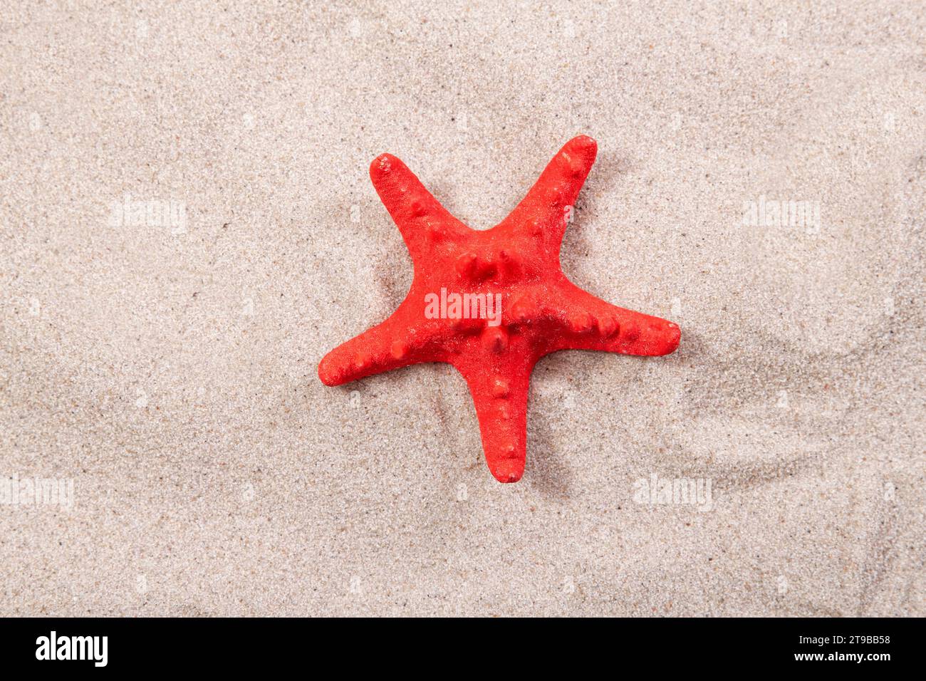 red starfish on the sand close-up top view. Starfish on the beach ...
