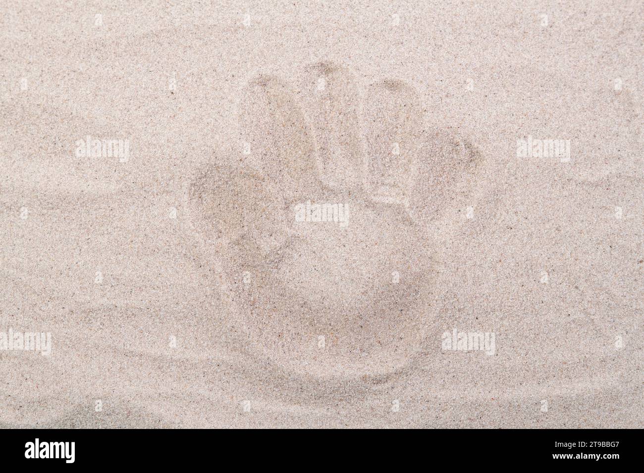 Palm footprint in the sand top view. Sand copy space. Sand background ...
