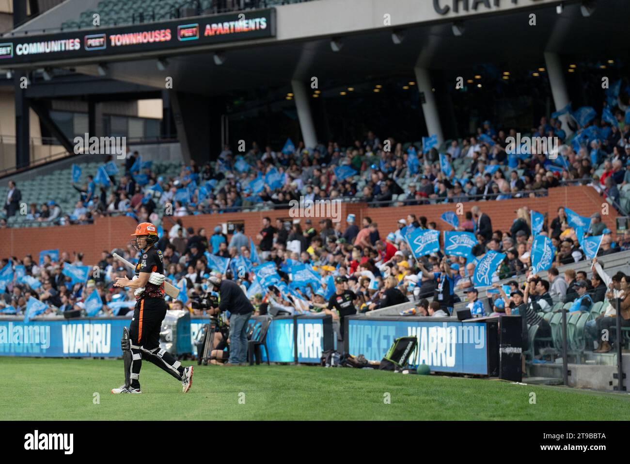 Perth cricket fans hi-res stock photography and images - Alamy