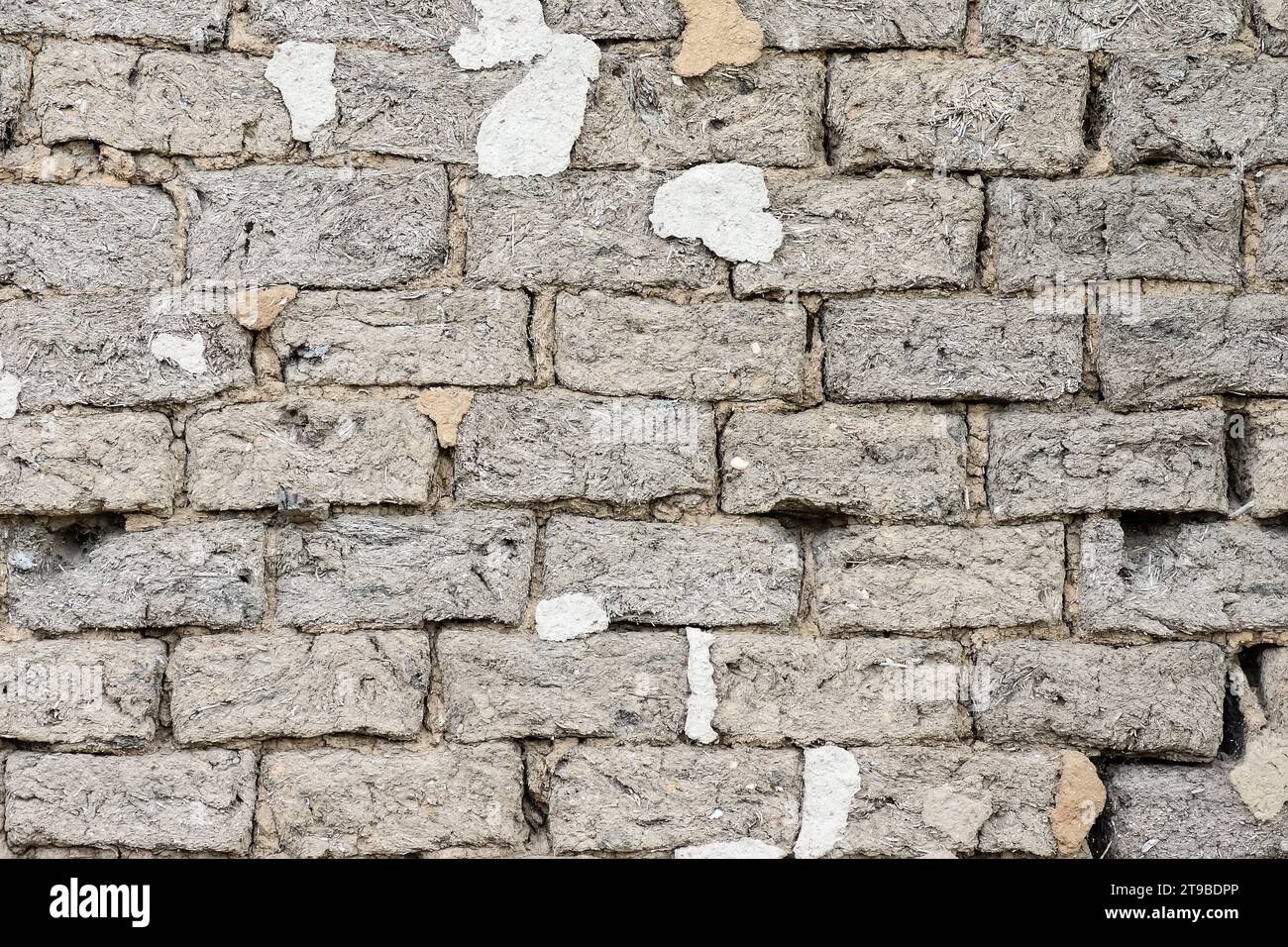 Close view of dry daub, a kind of plaster made from mud and cow dung ...