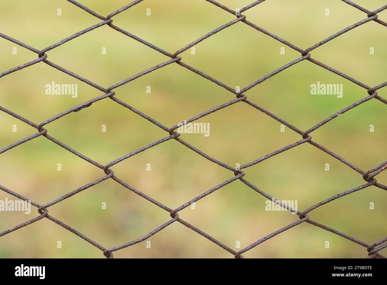 Mesh cage in the garden with green grass as background. Metal fence ...
