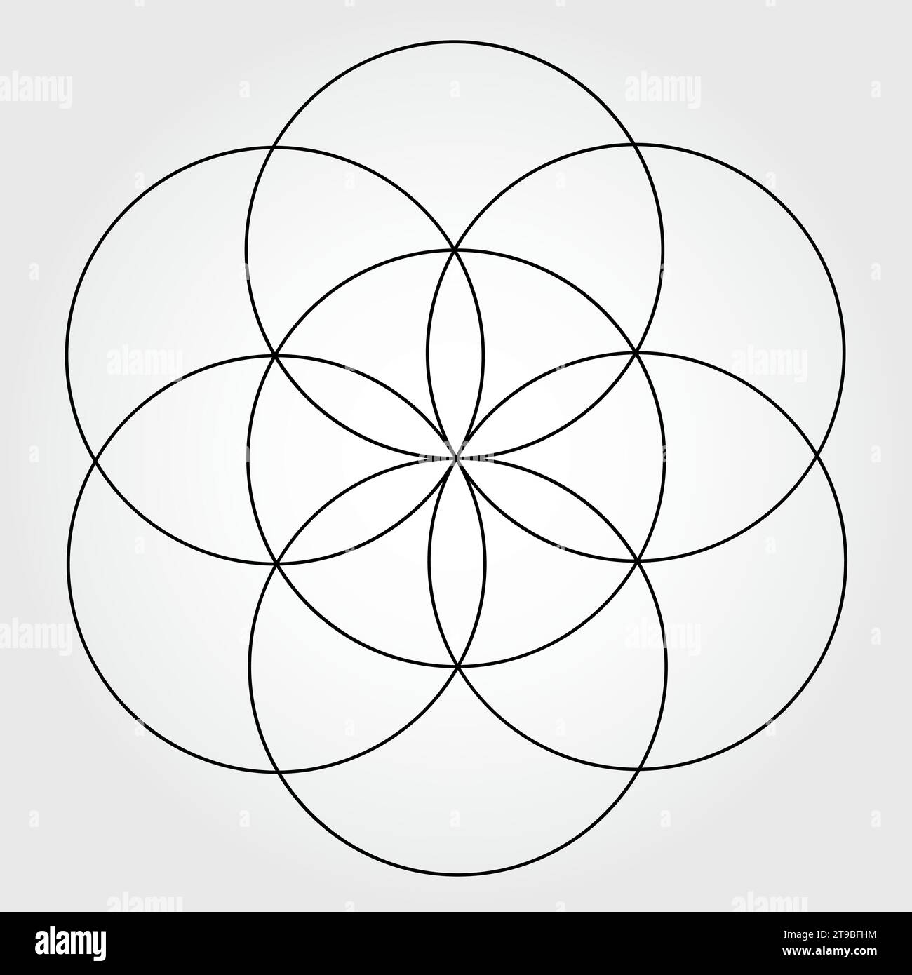 Seed of Life Illustration Black and White Colors Sacred Geometry Symbol ...