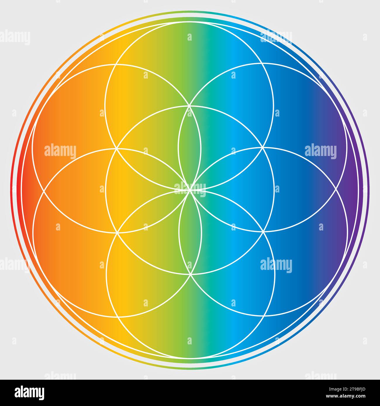 Seed of Life Illustration Rainbow Colors Sacred Geometry Symbol Vector ...