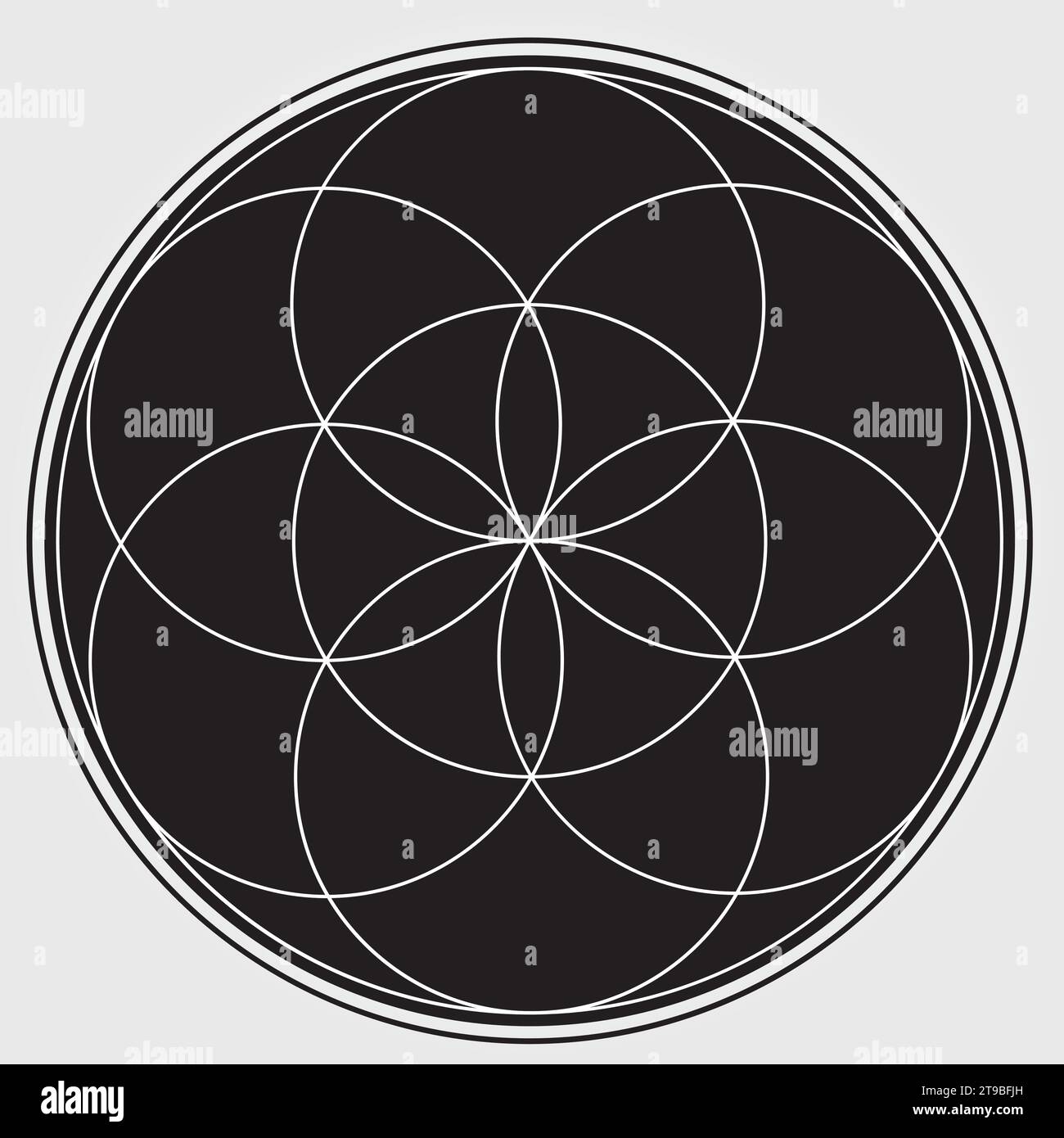 Seed of Life Illustration Black and White Colors Sacred Geometry Symbol ...
