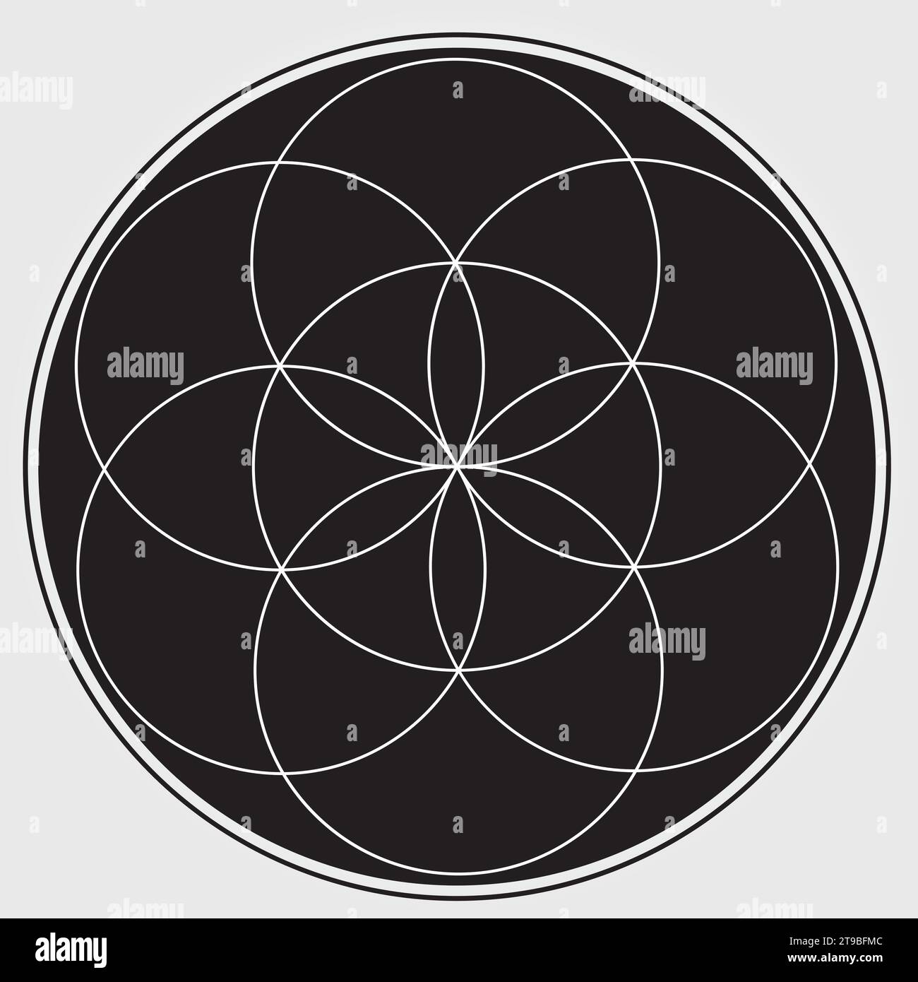 Seed of Life Illustration Black and White Colors Sacred Geometry Symbol ...