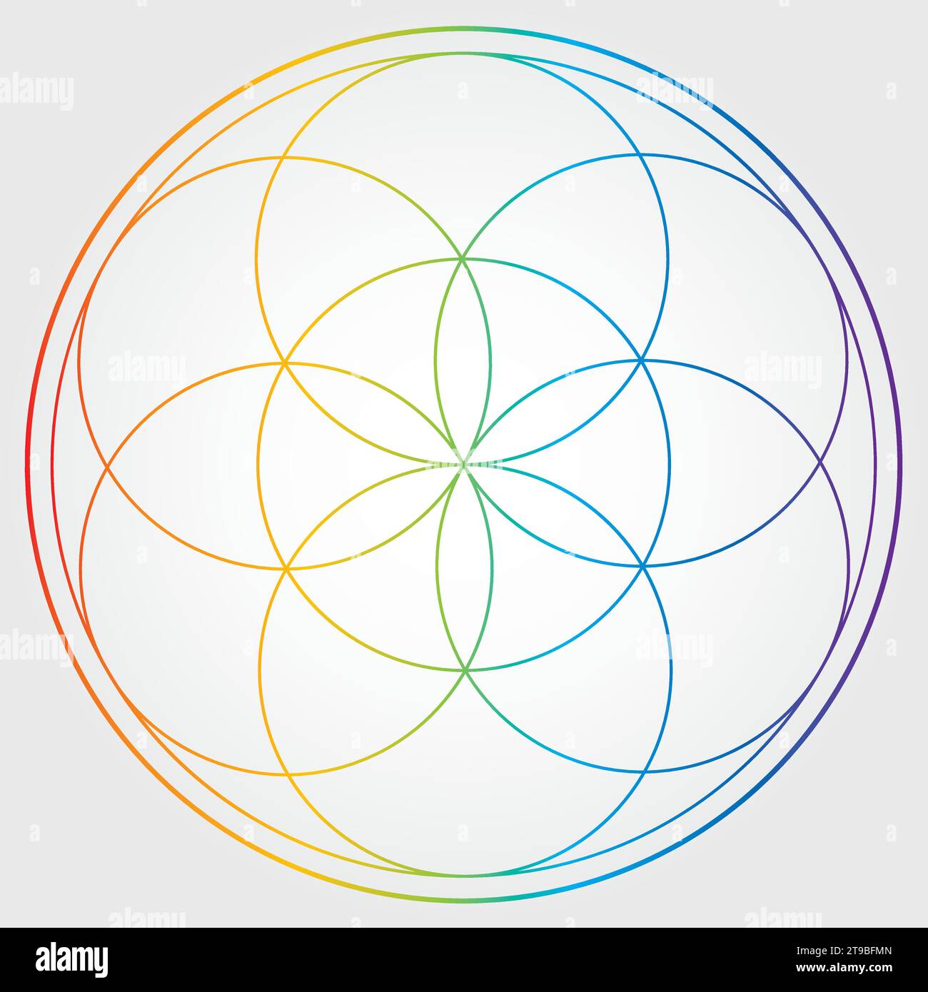 Seed of Life Illustration Rainbow Colors Sacred Geometry Symbol Vector ...