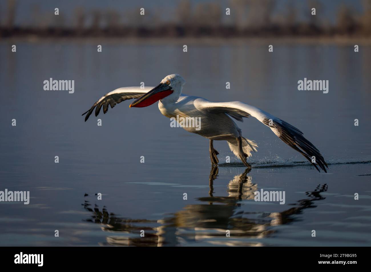 Feet trailing hi-res stock photography and images - Alamy