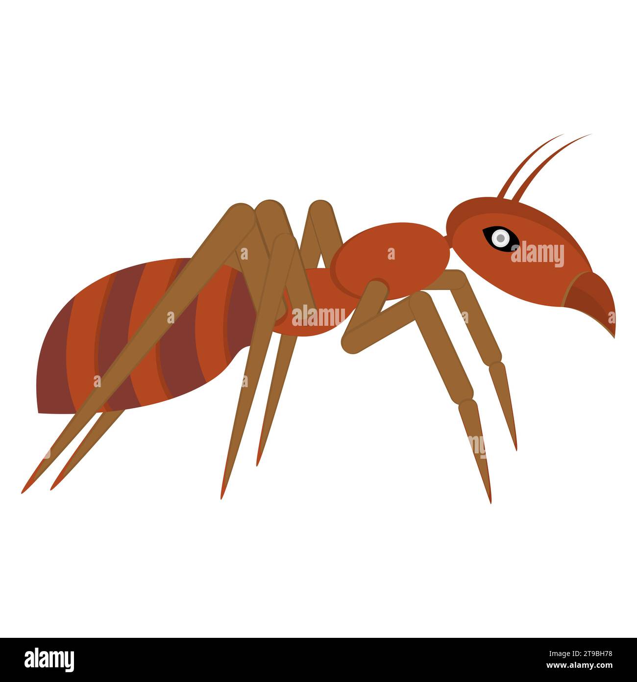Red Ant Clip Art