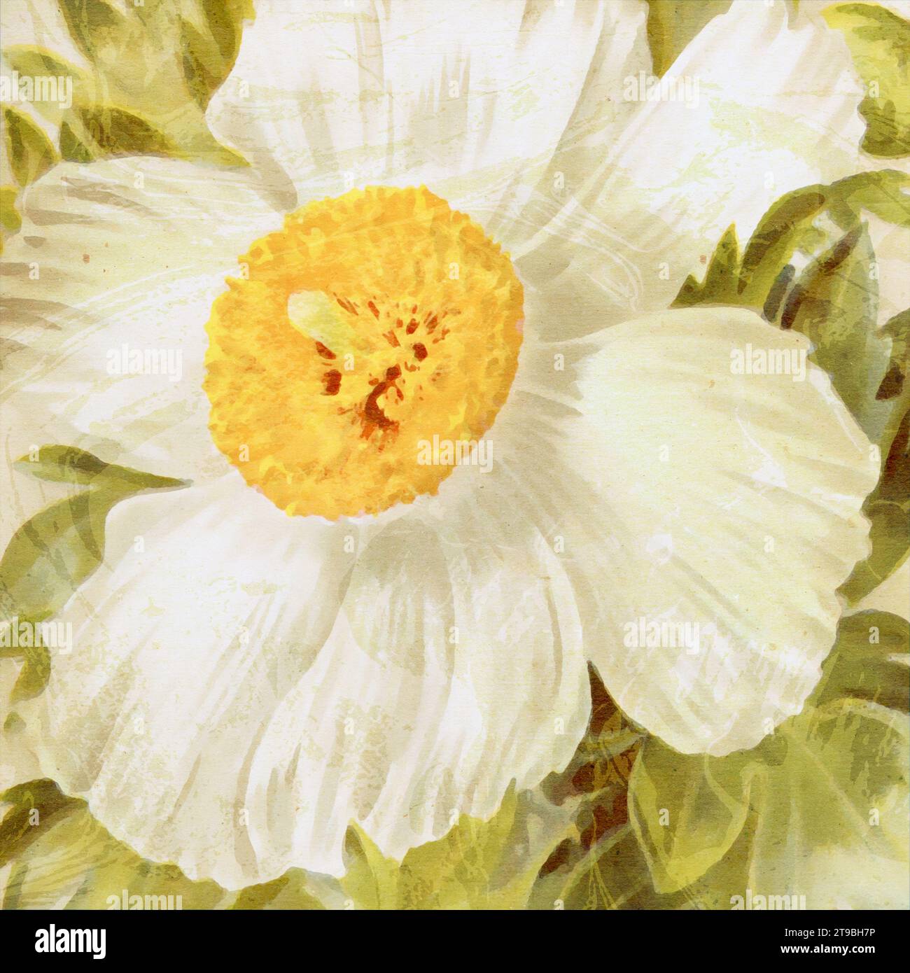 Square floral design, digitally painted in oil, boasting a vibrant ...