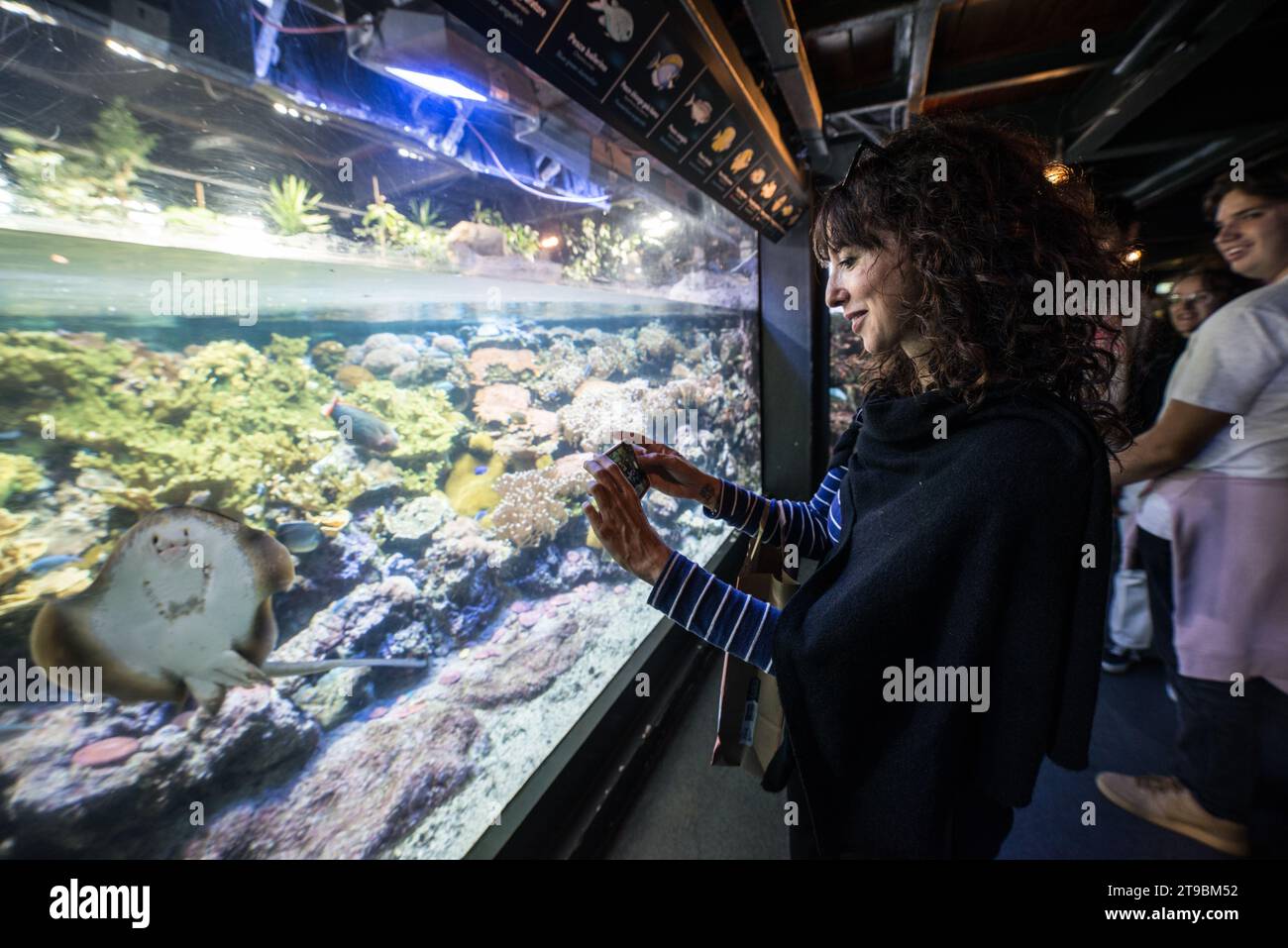 Acquario di Genova, Liguria, Italia Stock Photo - Alamy