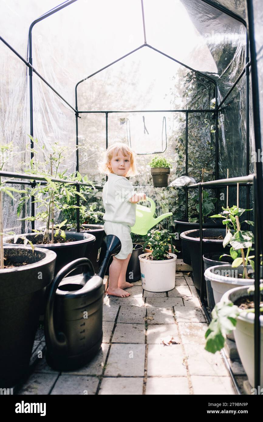Greenhouse full of plants hi-res stock photography and images - Alamy