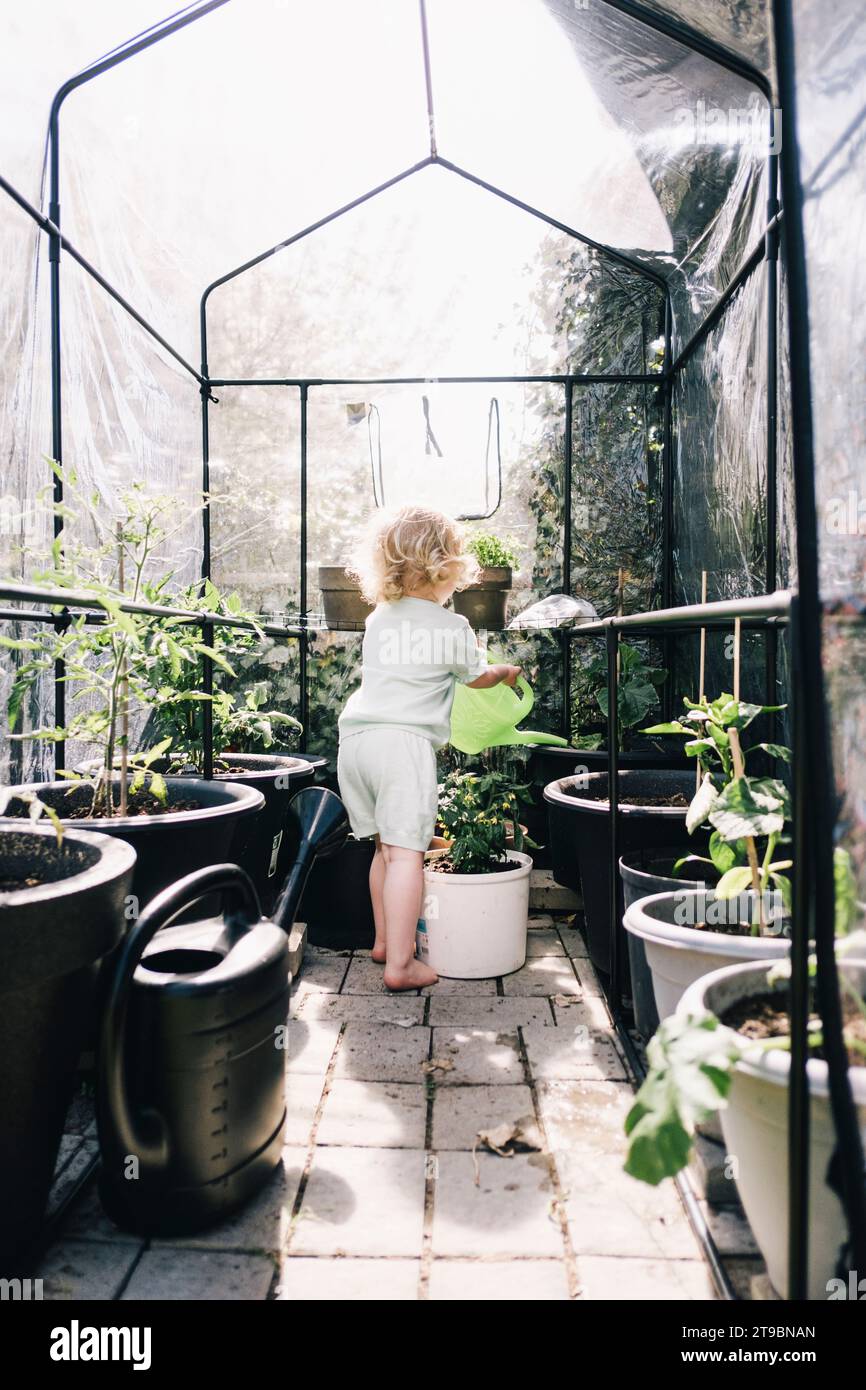 Greenhouse full of plants hi-res stock photography and images - Alamy