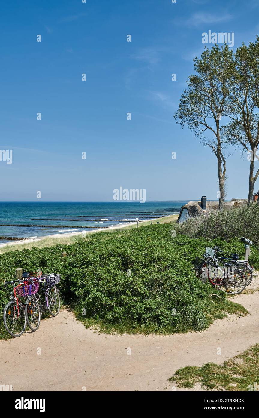 Beach of Ahrenshoop,Fischland-Darss-Zingst,baltic Sea,Mecklenburg ...