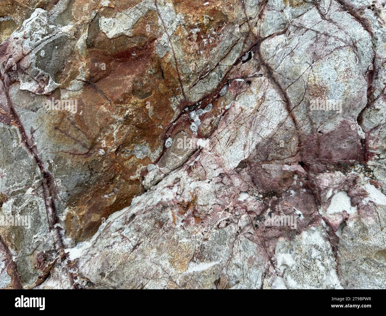 Natural Rock pattern near a white sand beach Stock Photo - Alamy