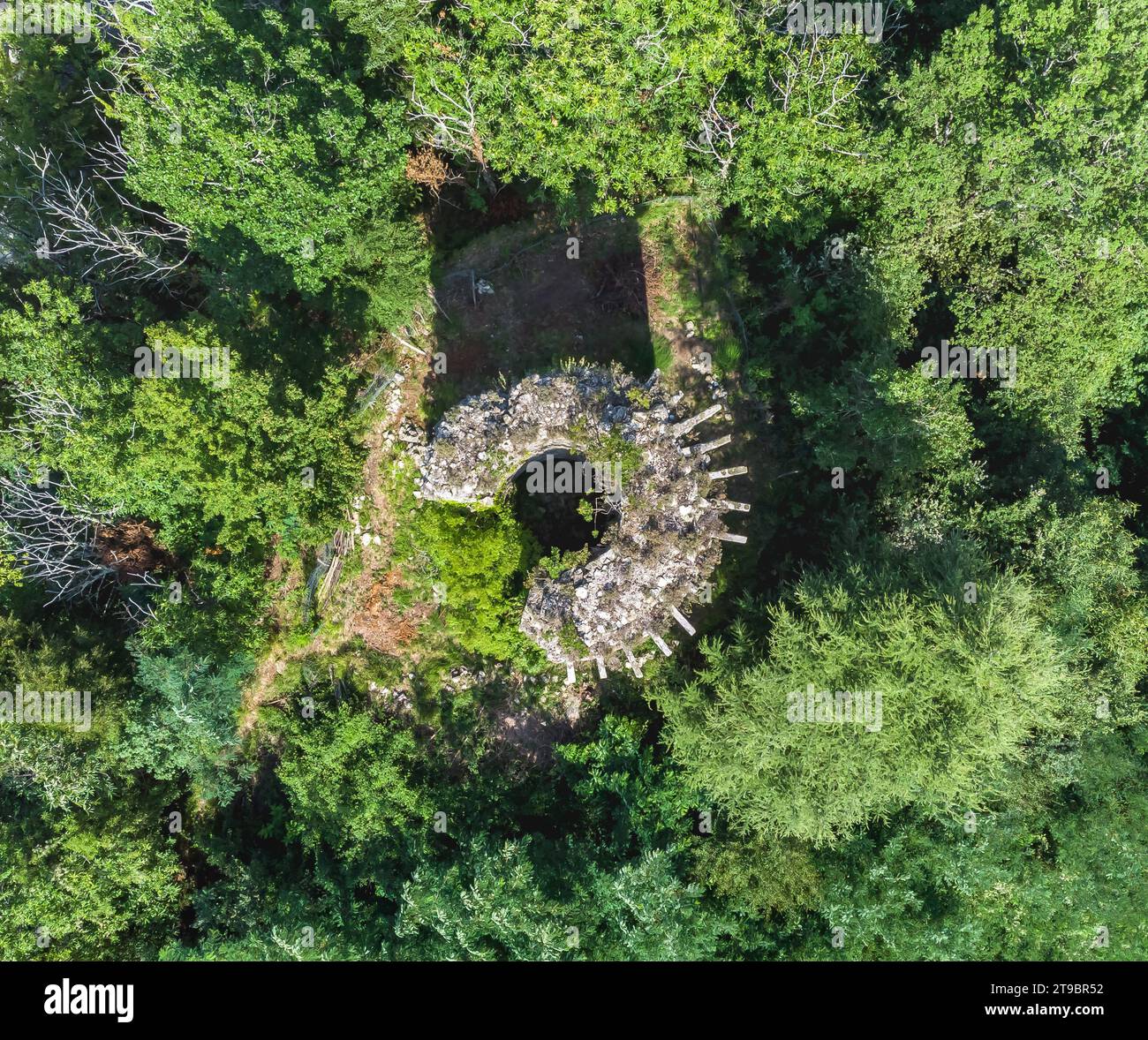 The tower in the woods Stock Photo - Alamy